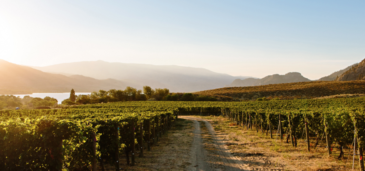 Meet One of the Very First Indigenous Winemakers in the World | WanderEater