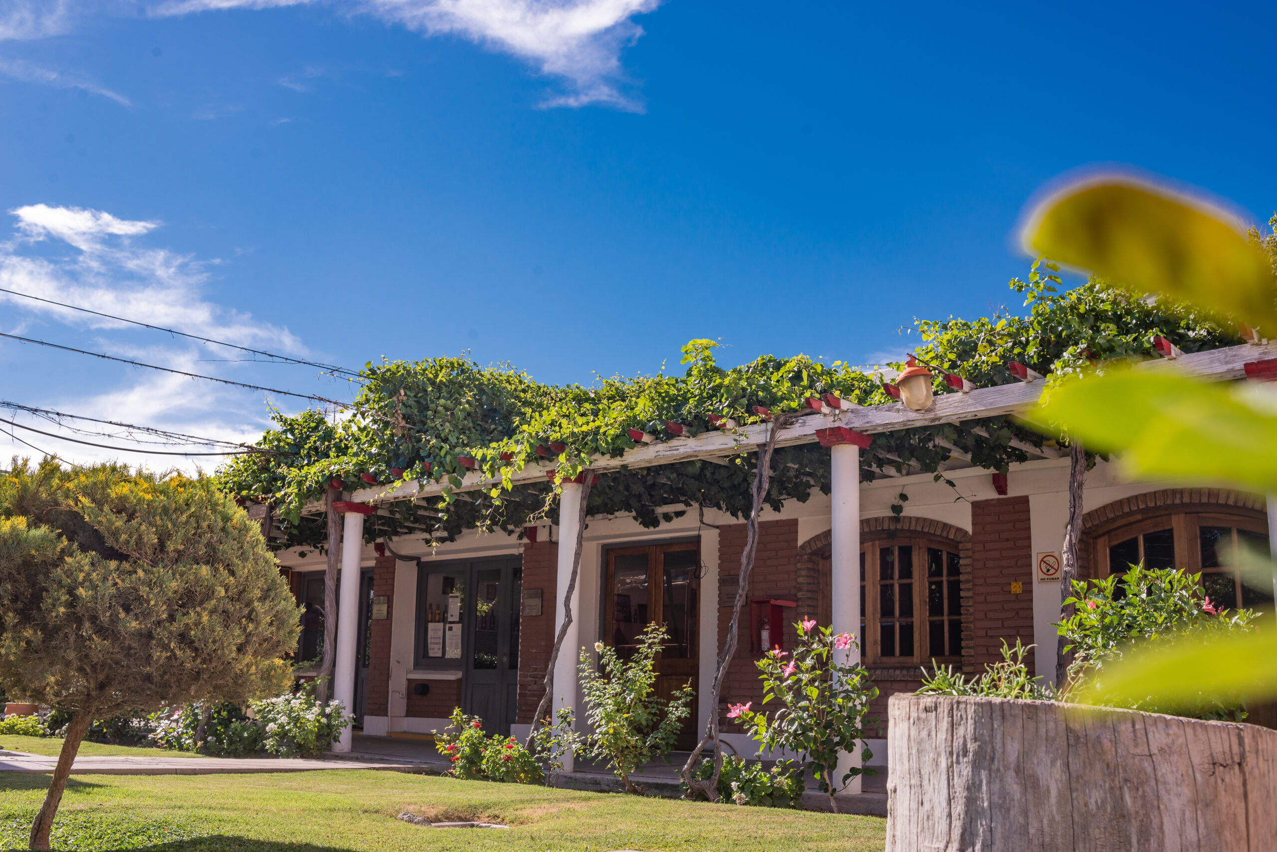 Meet the winemaker behind Bodega Graffigna one of Argentina’s oldest ...